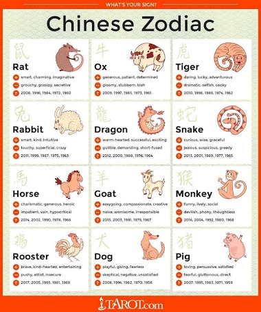 Chinese zodiac signs 1992 60 photos - Astrologytoyou.com