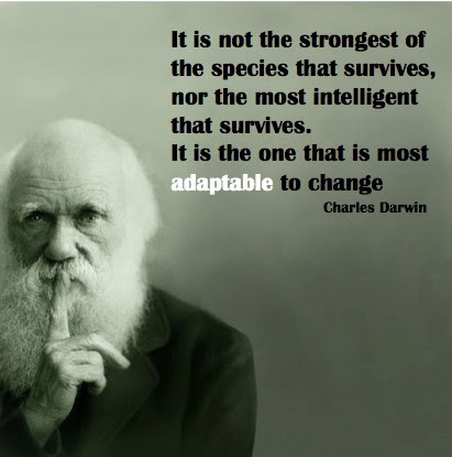 TimeOut - Tuesday quote day....
