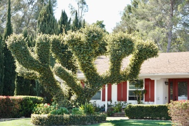 TimeOut - Walking with the Car