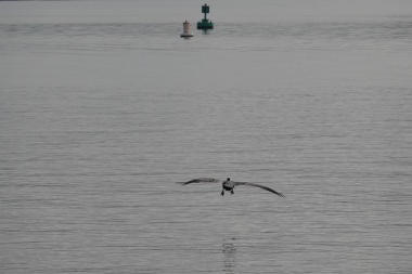 TimeOut - Out and About Again, Part 2