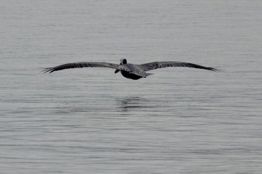 TimeOut - Out and About Again, Part 2