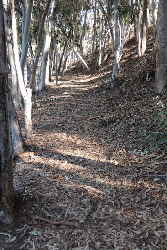 TimeOut - Walking on a Steep Side