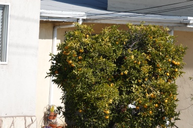 TimeOut - Cruising the ‘Hoods, Part 1