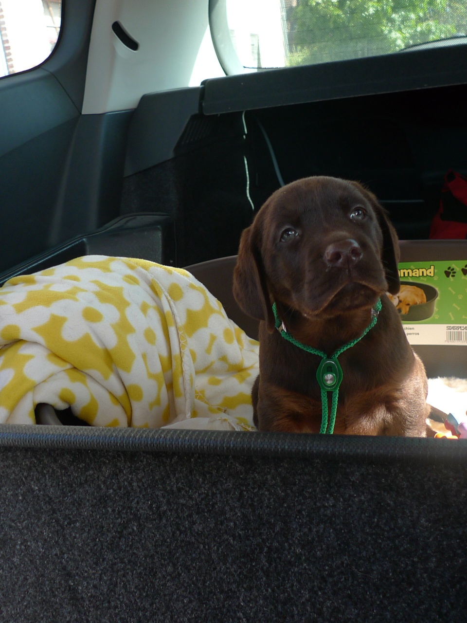 TimeOut - Meet Louie ...