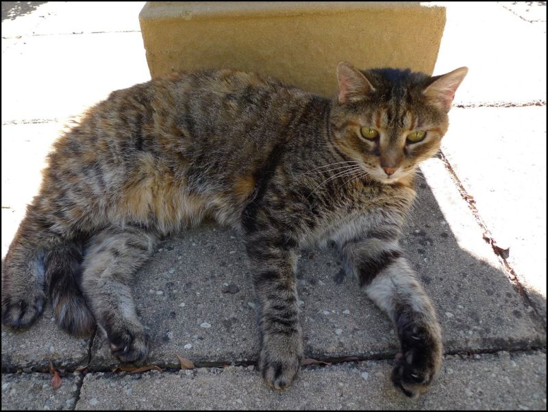 TimeOut - Meet Sasha ...
