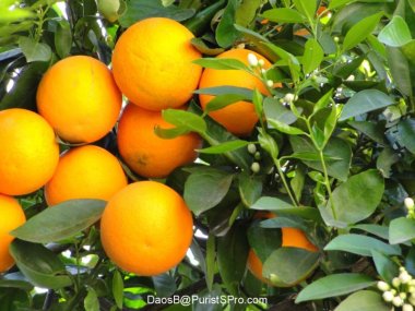 TimeOut - Wonderful!