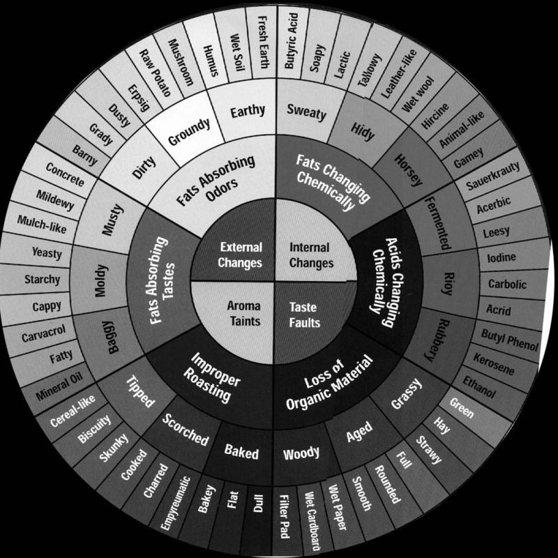 TimeOut - Thanks Boa ...
