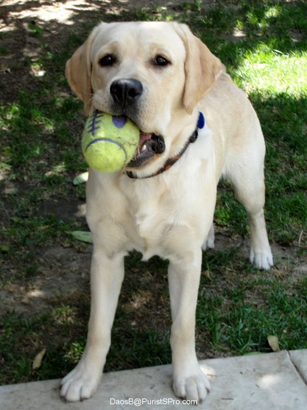 TimeOut - Thanks, Helen!