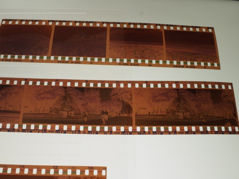 TimeOut - I found an old roll of exposed film in my Hasselblad Xpan