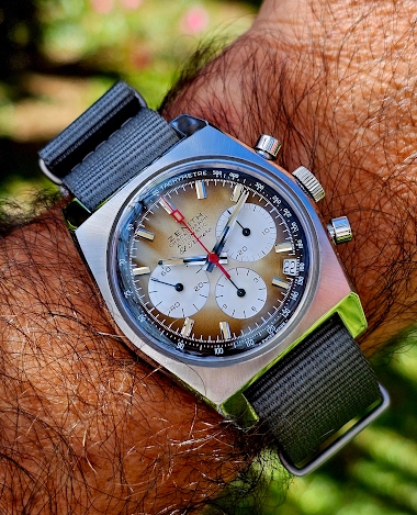 Zenith - Just plain joy