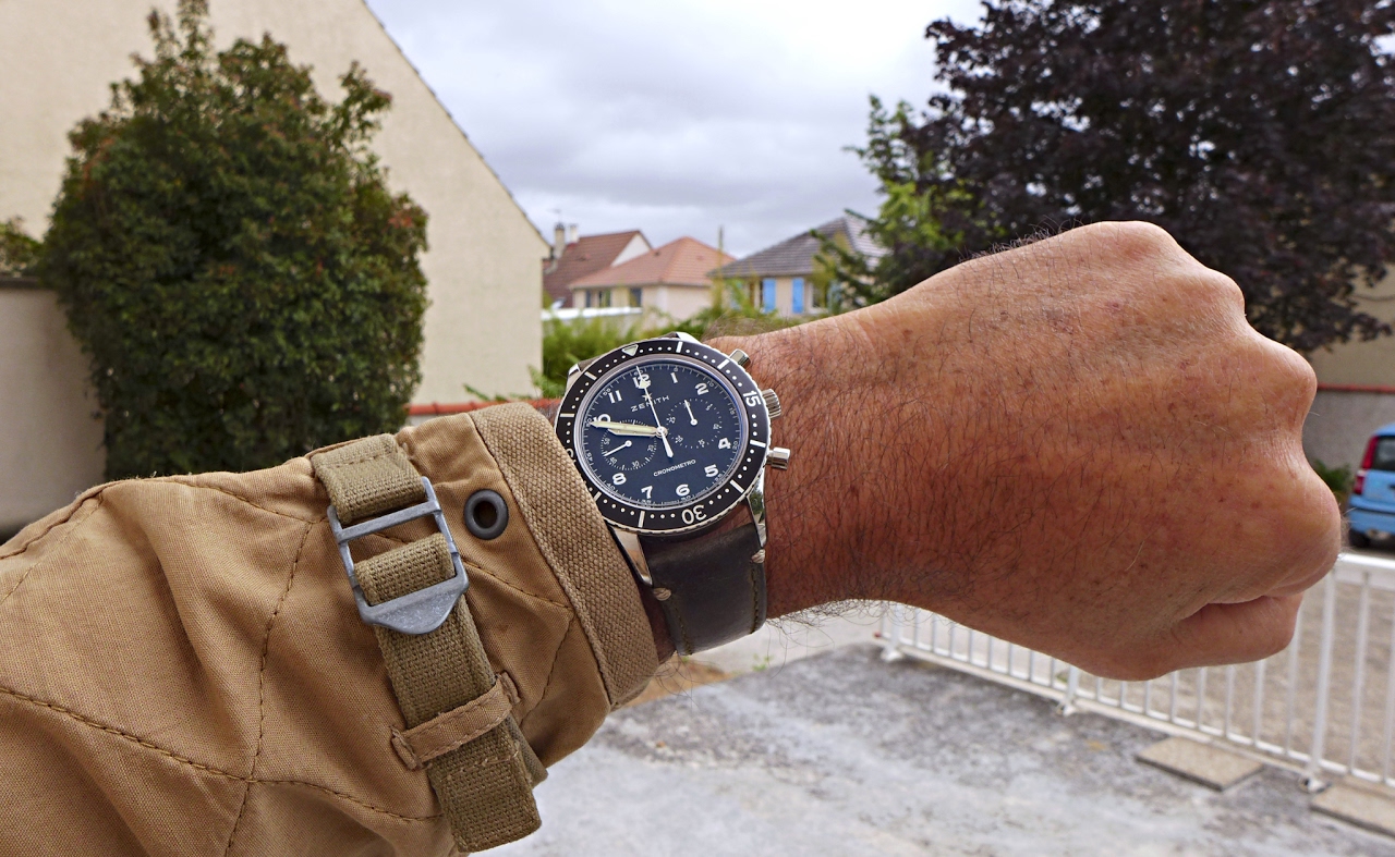 Zenith - A fresh picture of our beloved Zenith CP 2 PuristS'15th ...