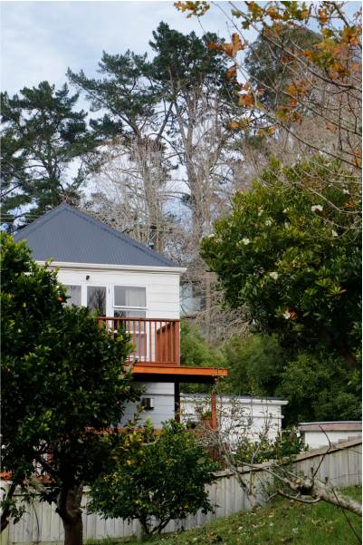 Devonshire Teas and More since 1972