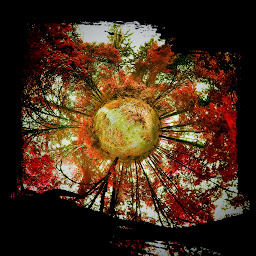 Max Shishkov profile image