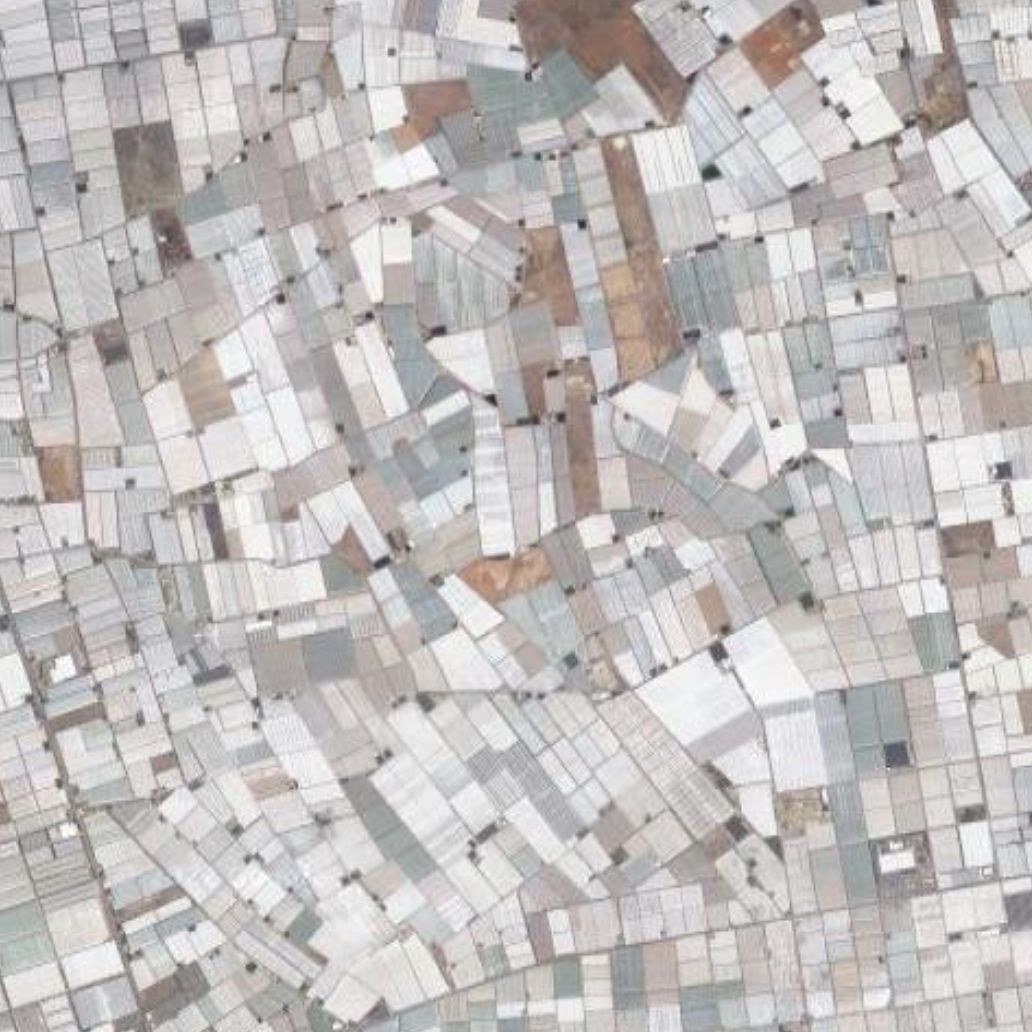 Tom Ritter Biography