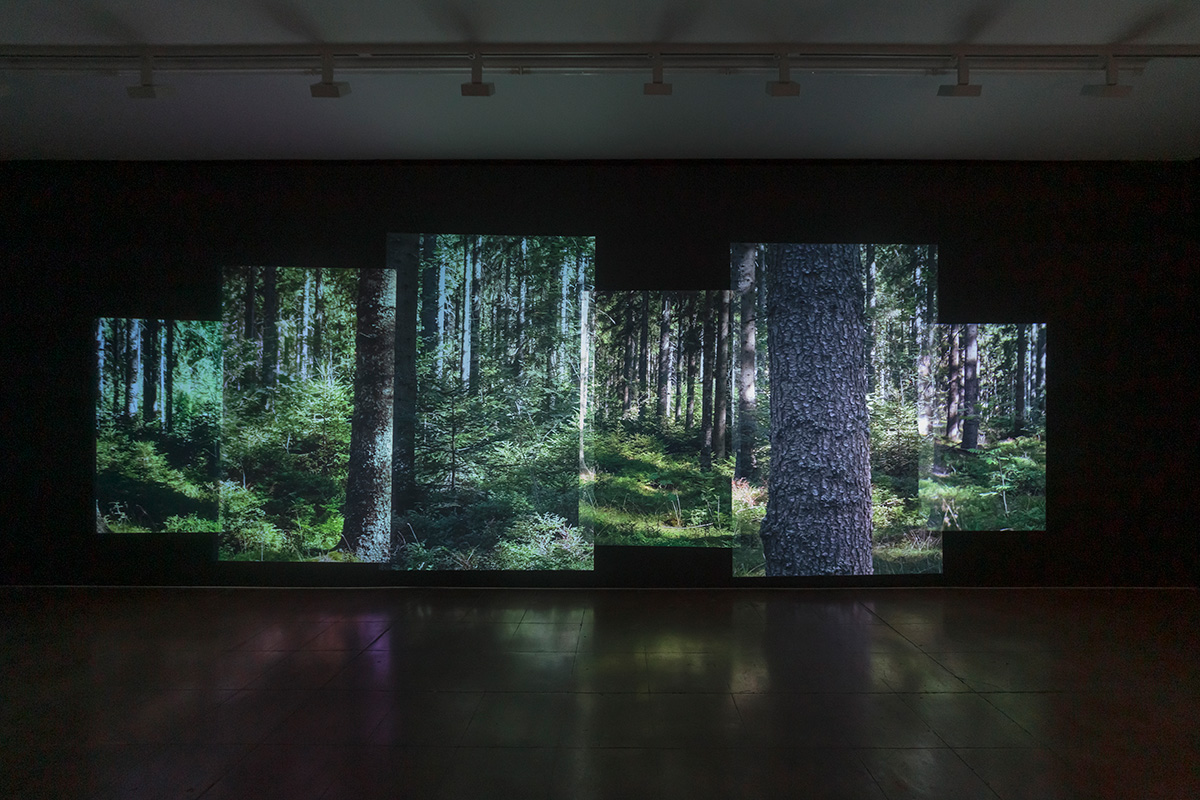 Andrea Geyer: plein-air – The Brooklyn Rail