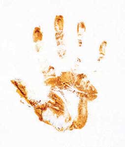 Bruce X – The Brooklyn Rail