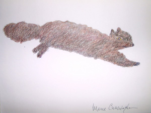 Merce Cunningham Drawings and Videos – The Brooklyn Rail