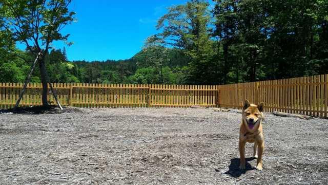 白馬森のわさび農園オートキャンプ場｜楽天トラベルキャンプ