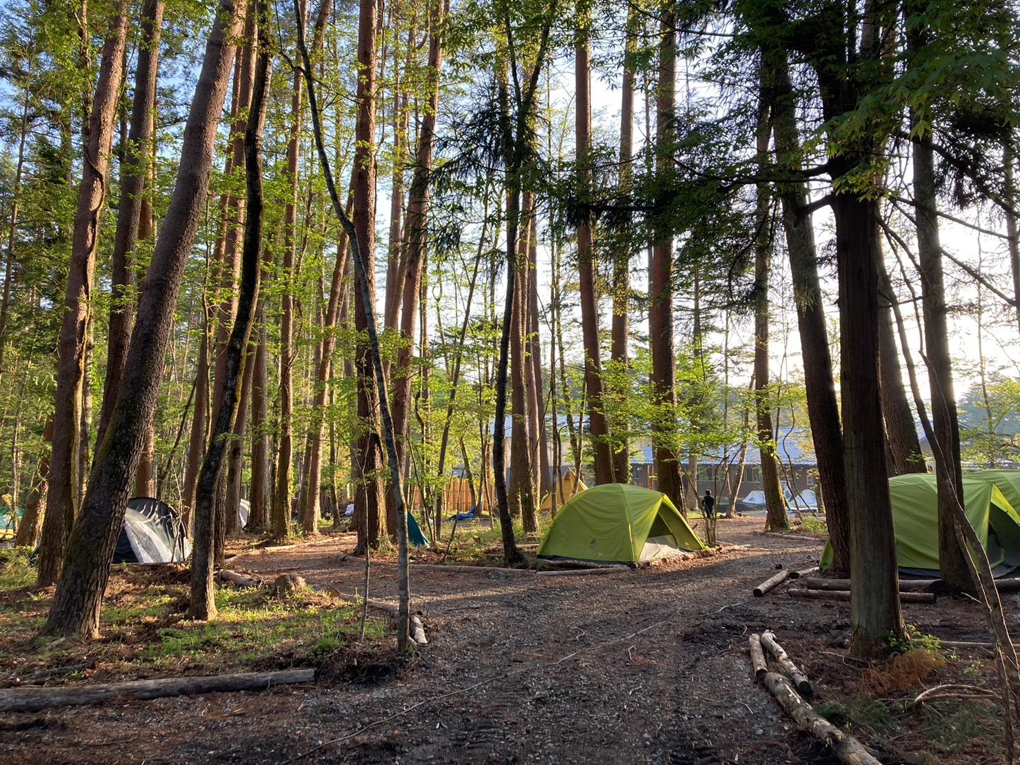 Minerva Forest by PGP English Camp (ミネルヴァ・フォレスト) 宿泊予約【楽天トラベルキャンプ】