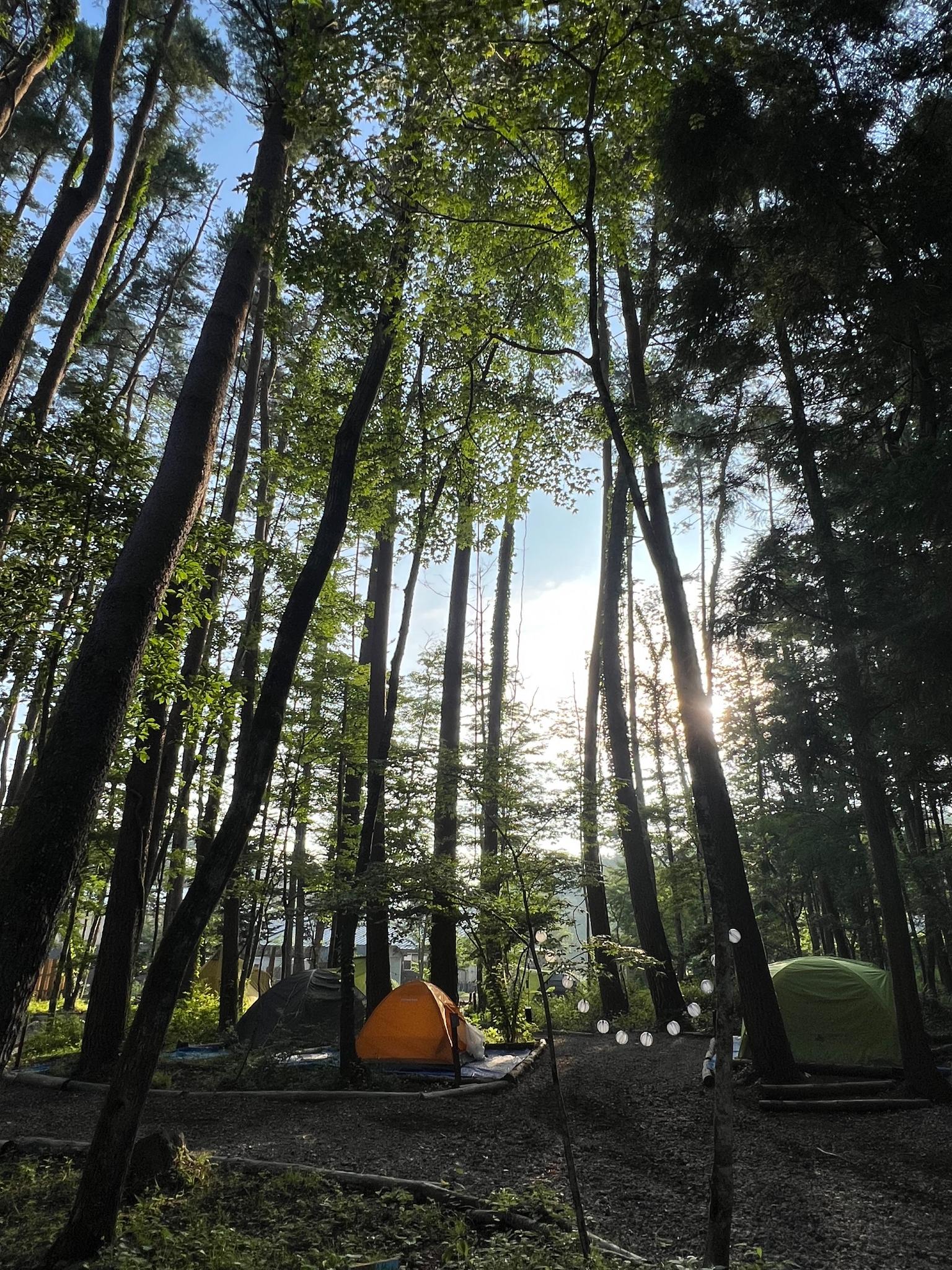 Minerva Forest by PGP English Camp (ミネルヴァ・フォレスト) 宿泊予約【楽天トラベルキャンプ】