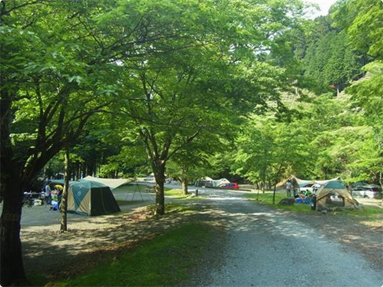 ボスコオートキャンプベース BOSCO Auto Camp Base｜楽天トラベルキャンプ