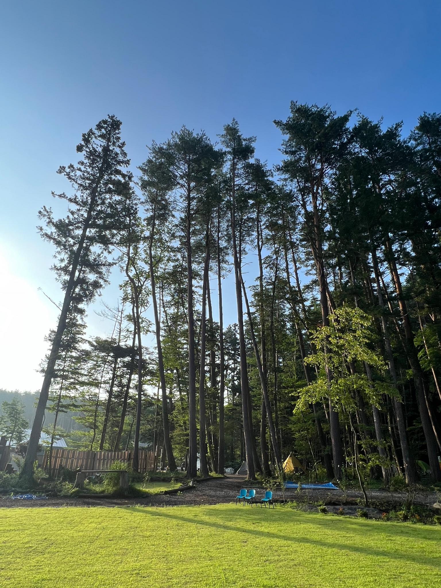 Minerva Forest by PGP English Camp (ミネルヴァ・フォレスト) 宿泊予約【楽天トラベルキャンプ】