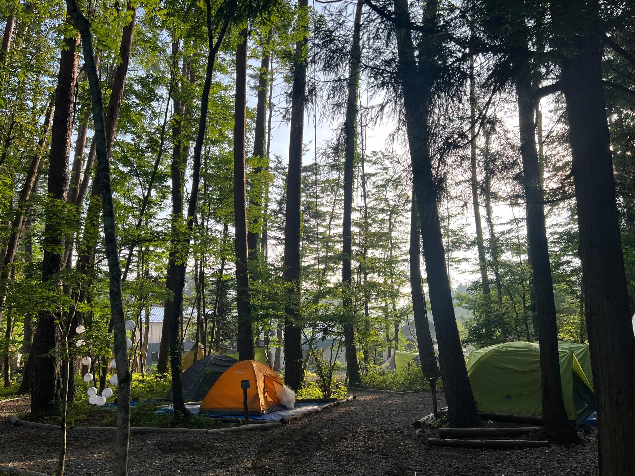 Minerva Forest by PGP English Camp (ミネルヴァ・フォレスト) 宿泊予約【楽天トラベルキャンプ】