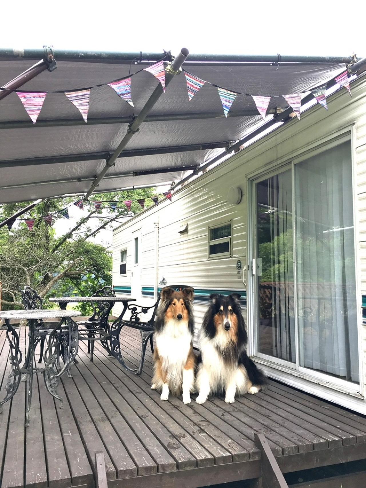 Camp inn Kiyosato GRANDEUR｜楽天トラベルキャンプ