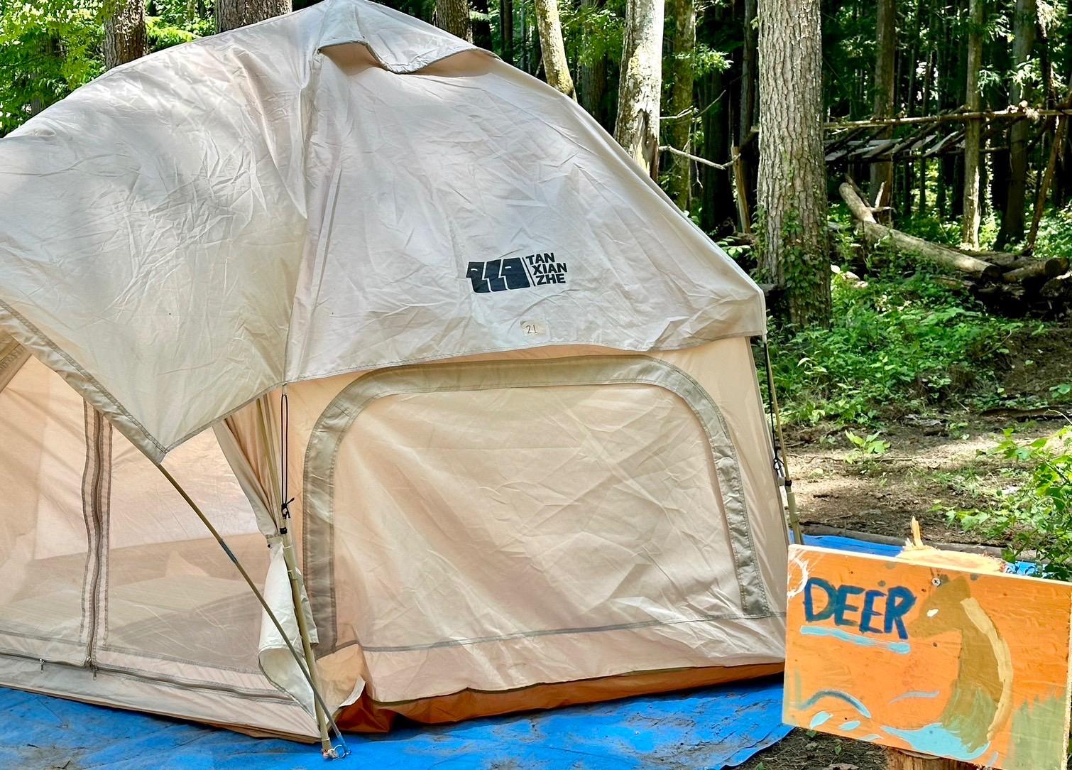 Minerva Forest by PGP English Camp (ミネルヴァ・フォレスト) 宿泊予約【楽天トラベルキャンプ】