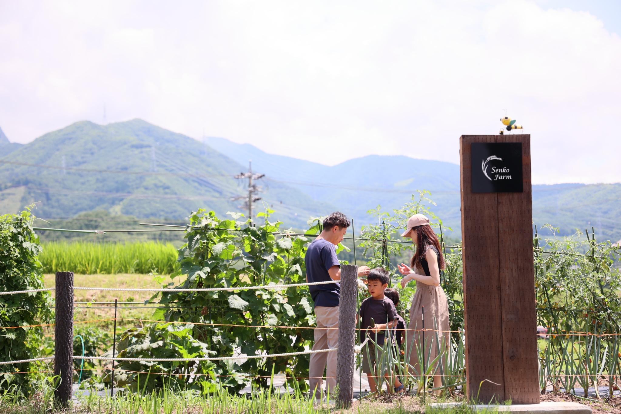 コテージ1棟を完全貸し切りプラン (SENKO TINY CAMP)【楽天トラベルキャンプ】