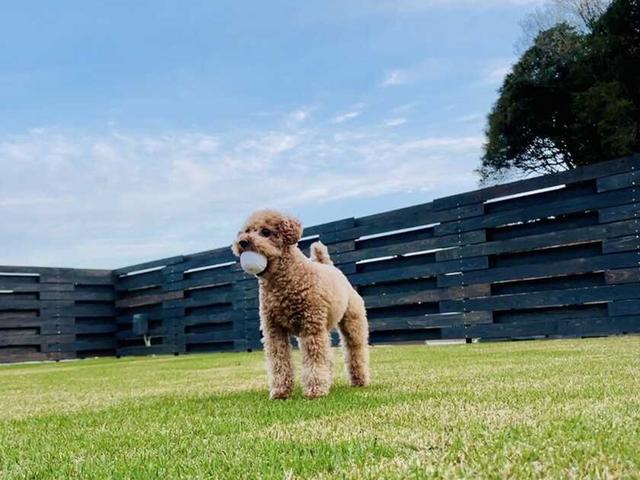 N& CAMP FIELD｜楽天トラベルキャンプ