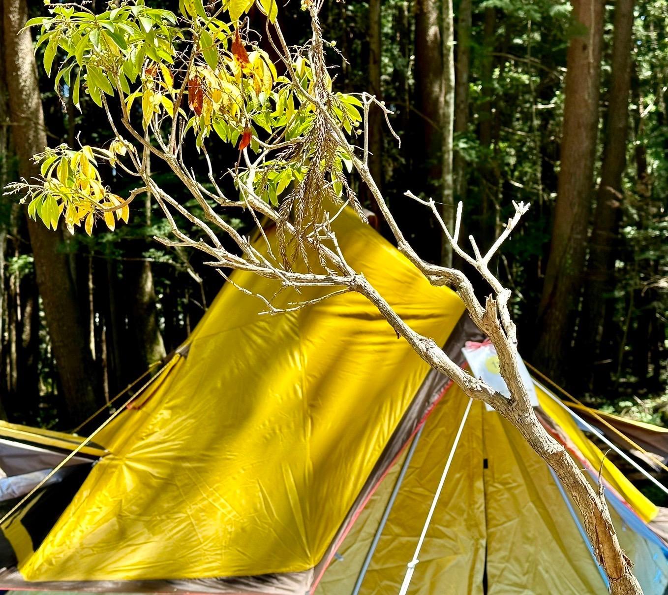 Minerva Forest by PGP English Camp (ミネルヴァ・フォレスト) 宿泊予約【楽天トラベルキャンプ】