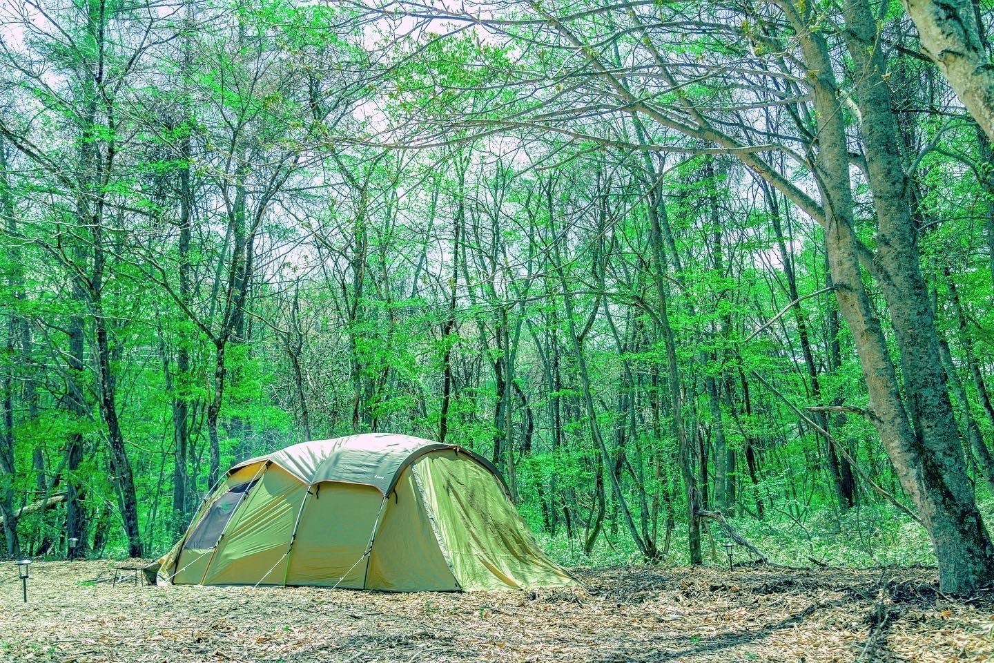 くれさかの森キャンプ場mamoriの写真 | キャンプ場検索サイト【hinata スポット】