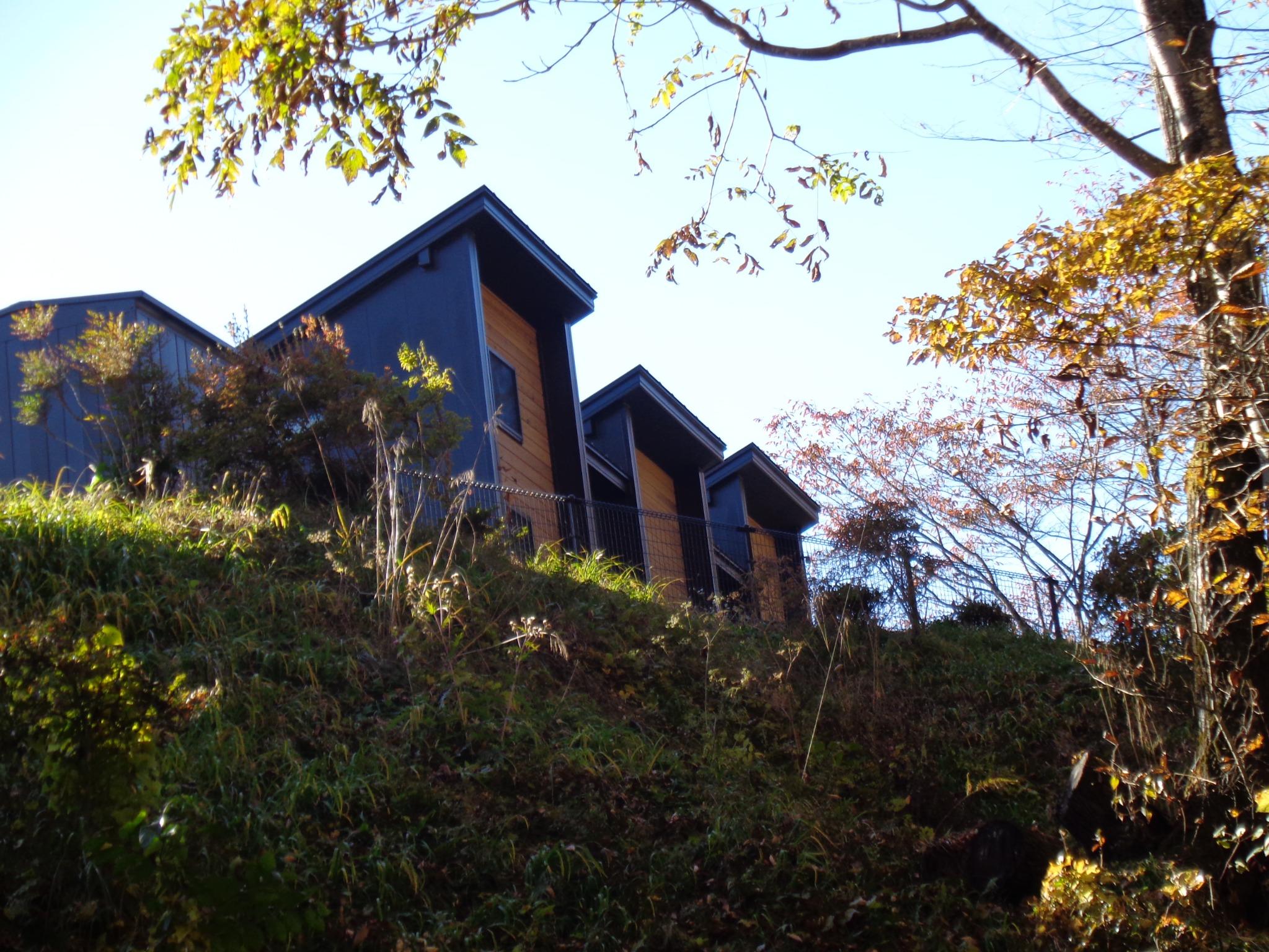 SENKO TINY CAMP コテージ1棟を完全貸し切りプラン｜楽天トラベルキャンプ