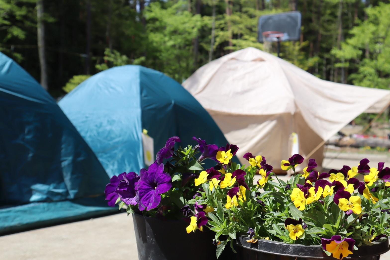 Minerva Forest by PGP English Camp (ミネルヴァ・フォレスト) 宿泊予約【楽天トラベルキャンプ】