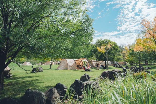 DOD CAMP PARK KYOTO／スプリングスひよし キャンプフィールド フリーサイト｜楽天トラベルキャンプ