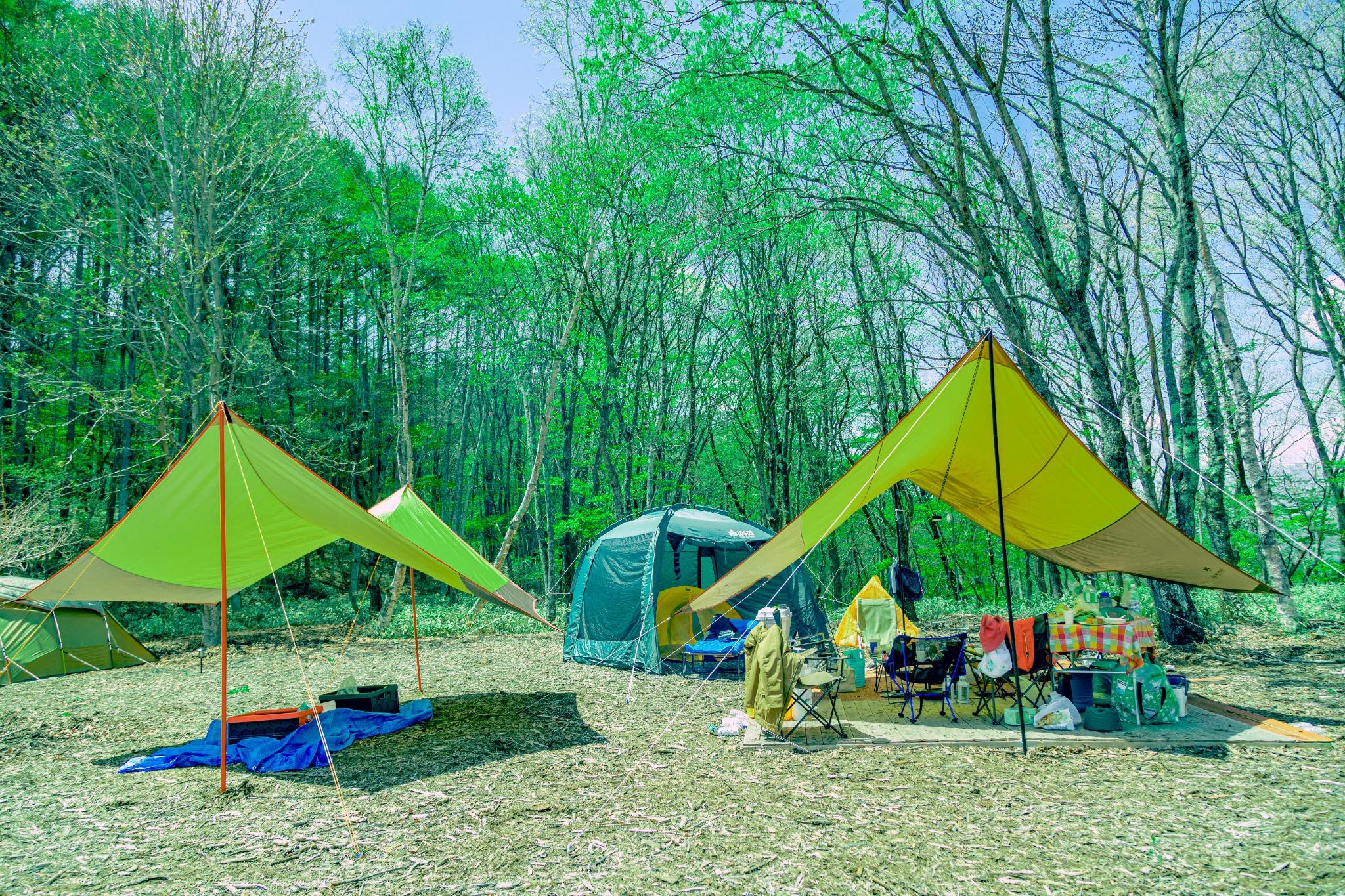 くれさかの森キャンプ場mamoriの写真 | キャンプ場検索サイト【hinata スポット】