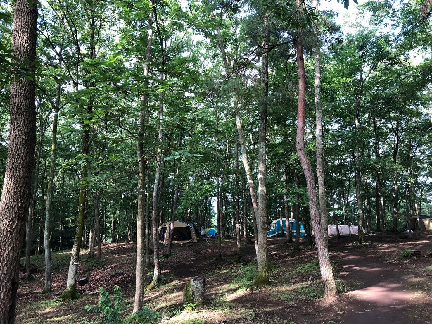 フォレストピア七里の森 | キャンプ場検索サイト【hinata スポット】