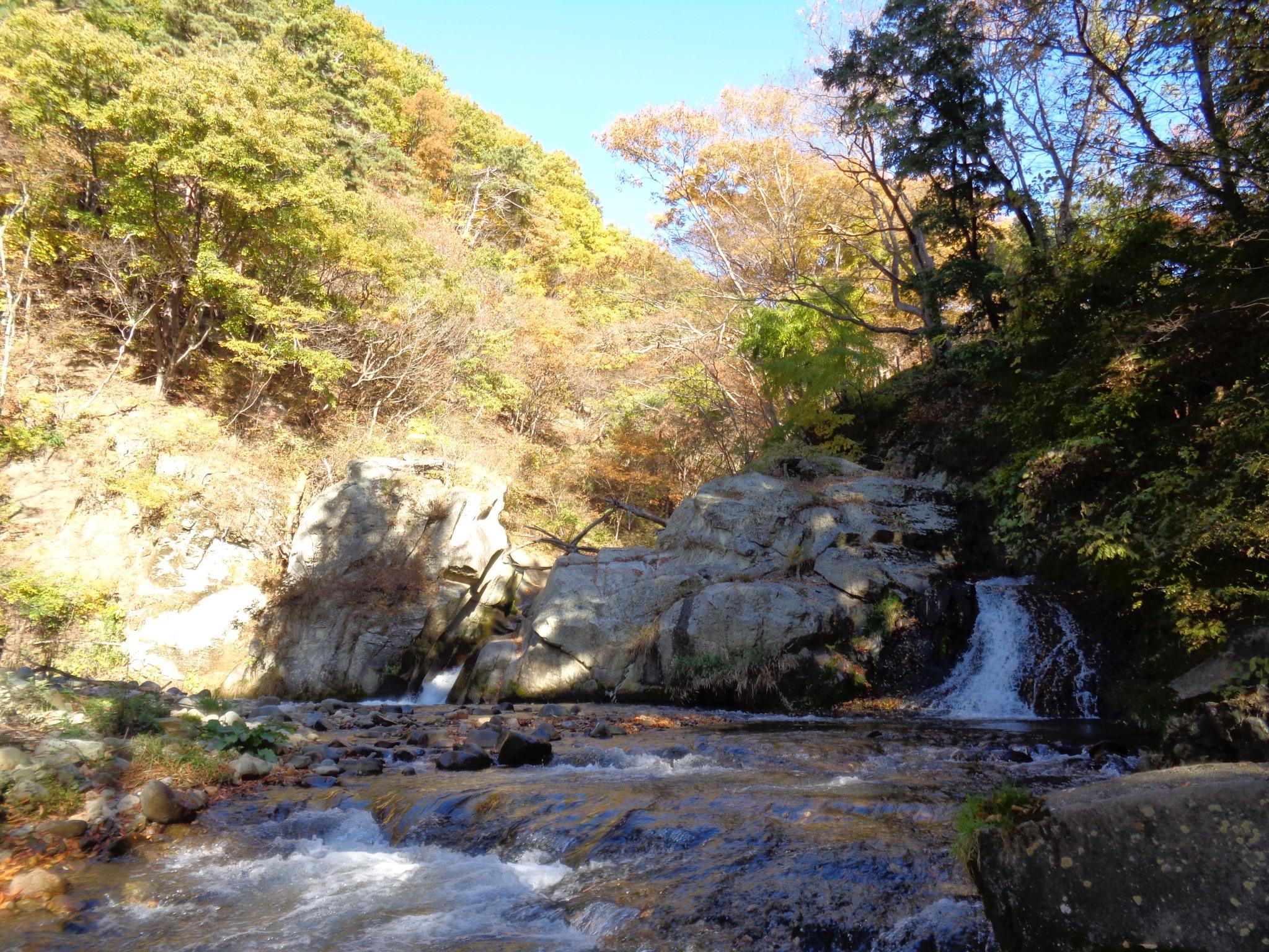 SENKO TINY CAMP コテージ1棟を完全貸し切りプラン｜楽天トラベルキャンプ