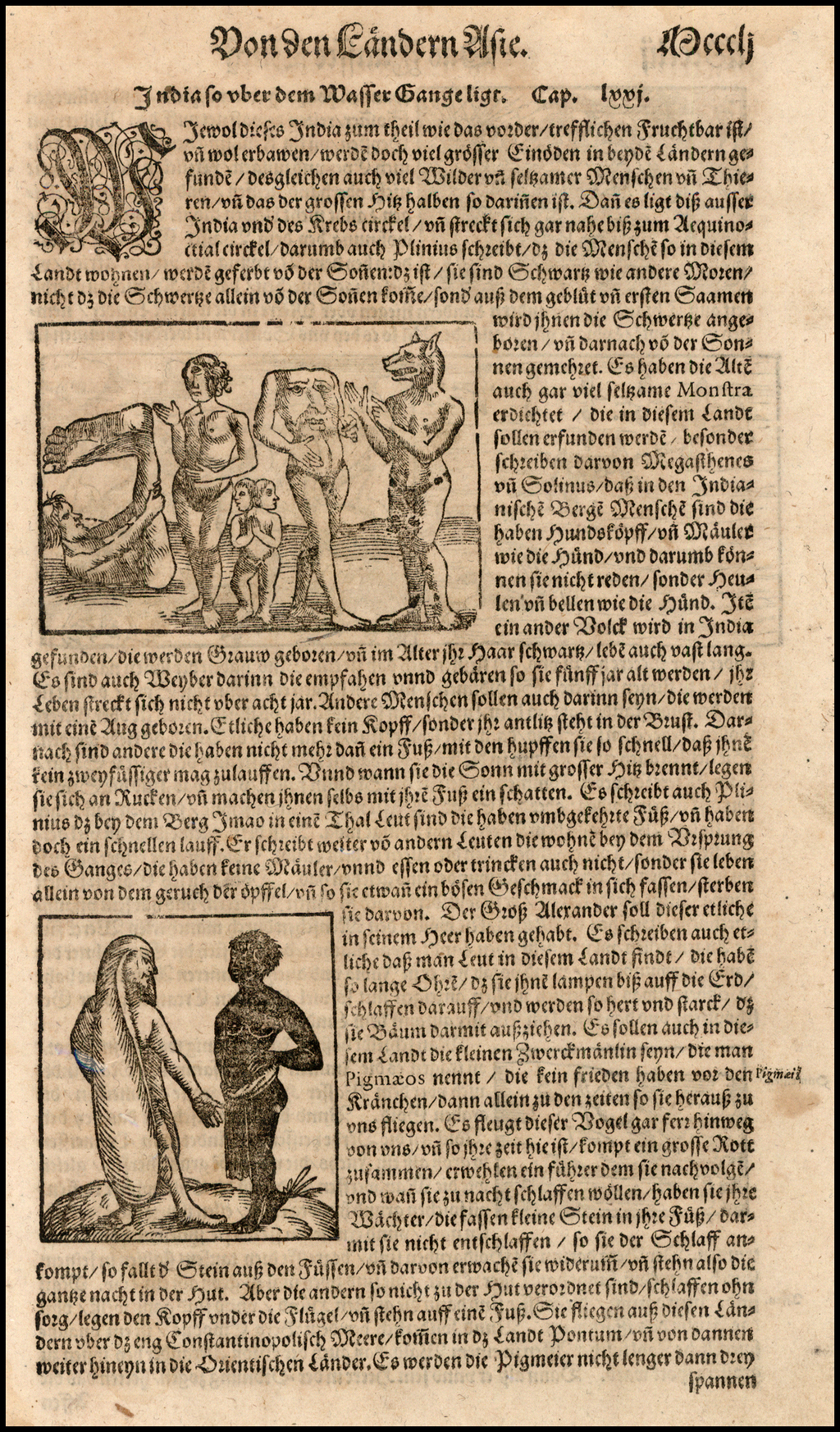 [Anthropomorphs--Cyclops, Doghead, Head In Torso, Monoped & Two Headed ...