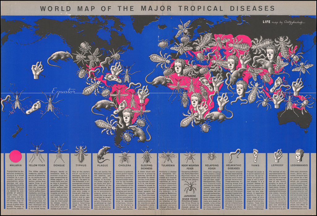 World Map of the Major Tropical Diseases - Barry Lawrence Ruderman ...