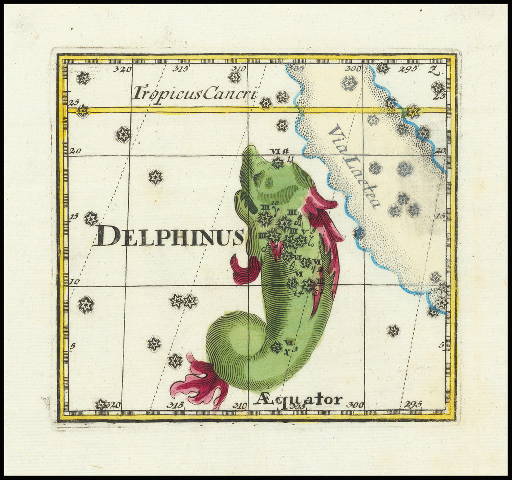 Delphinus - Barry Lawrence Ruderman Antique Maps Inc.
