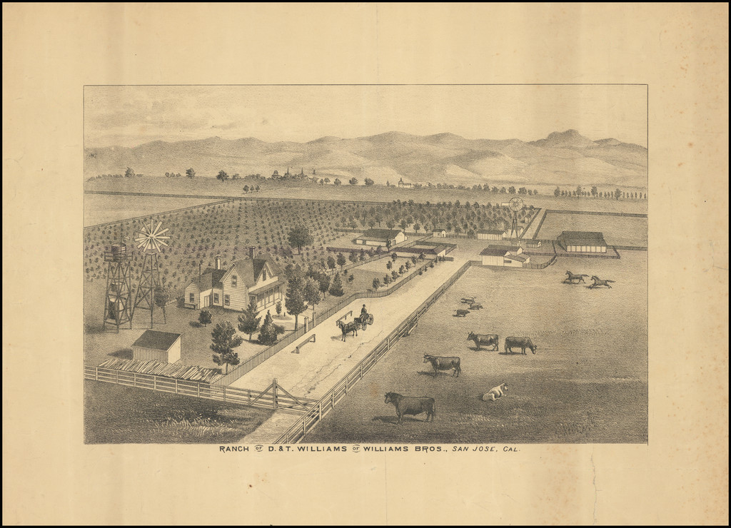 Ranch of D. & T. Williams of William Bros., San Jose, Cal. - Barry ...