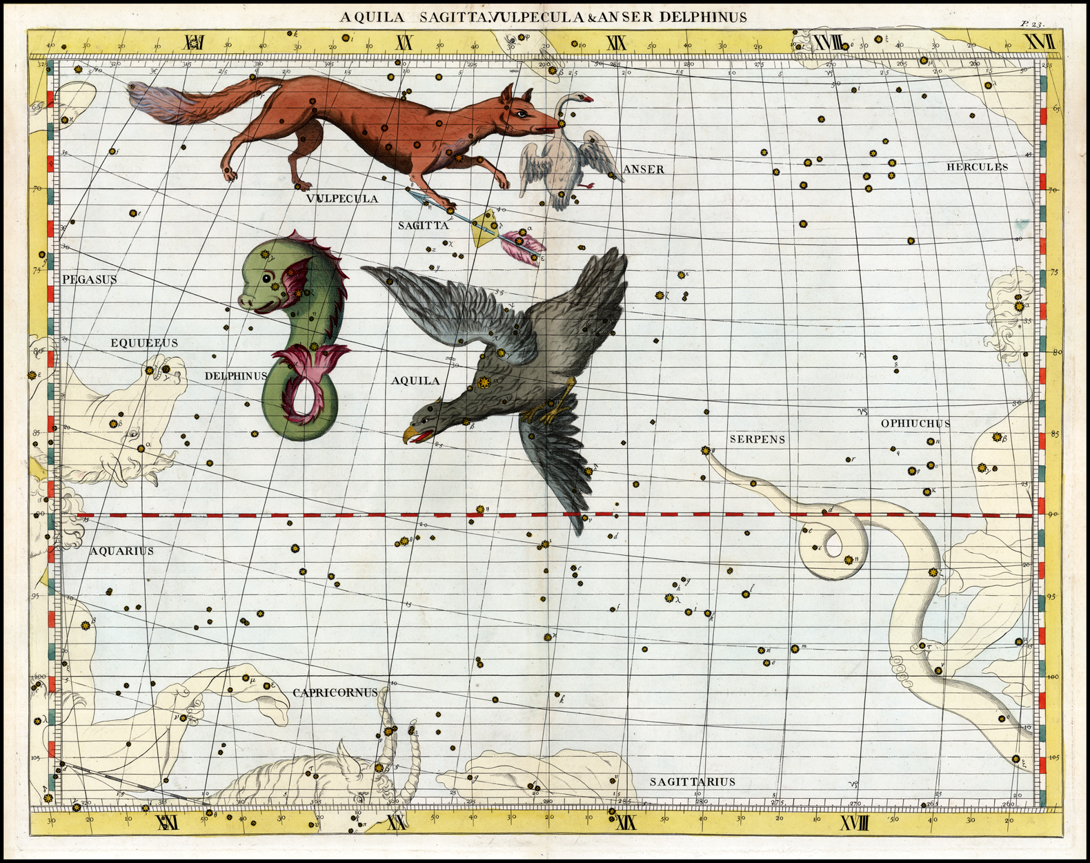 Aquila, Sagitta, Vulpecula & Anser Delphinus. - Barry Lawrence Ruderman ...