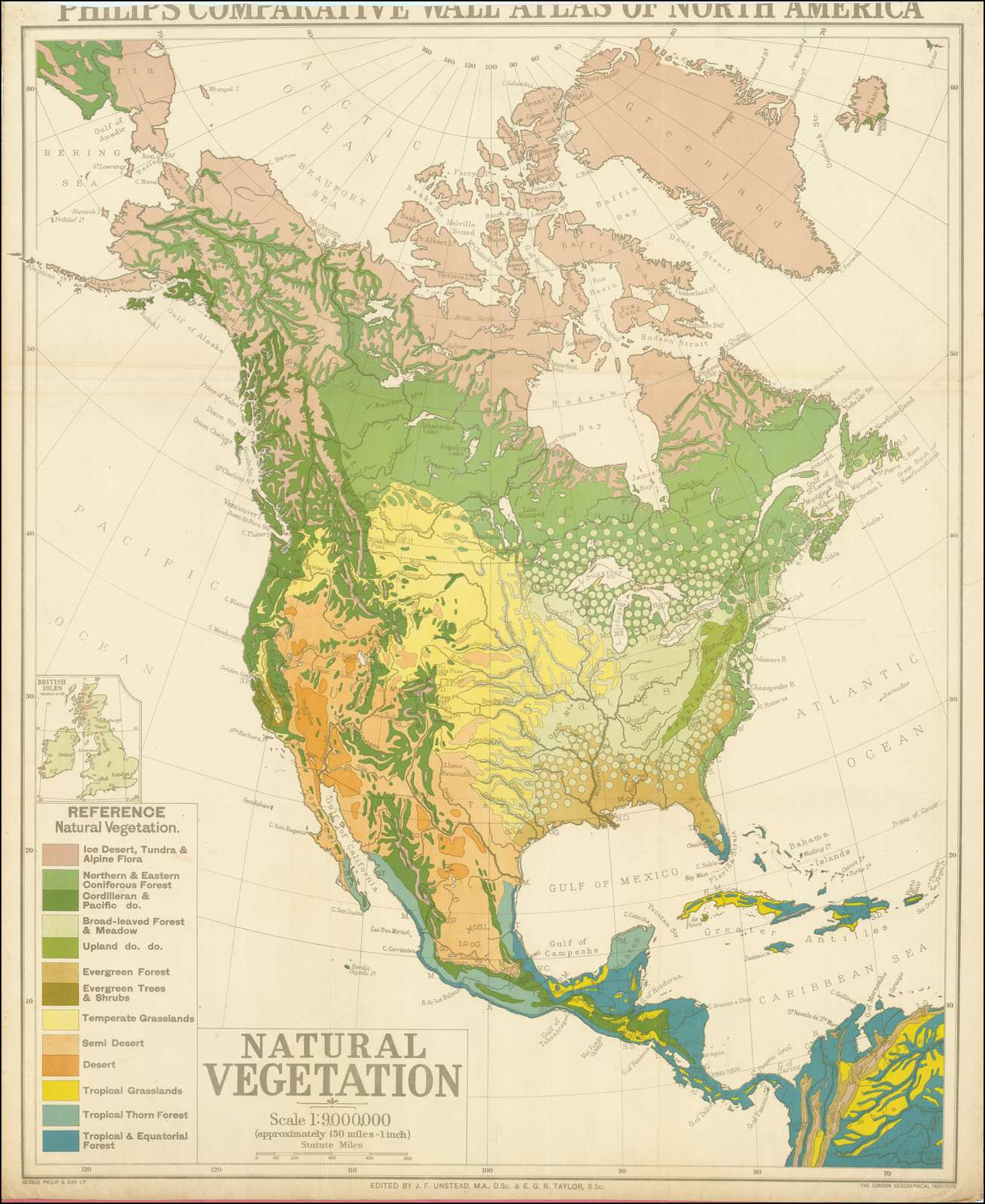 Vegetation Map Of North America South America. Shaded Relief Map.