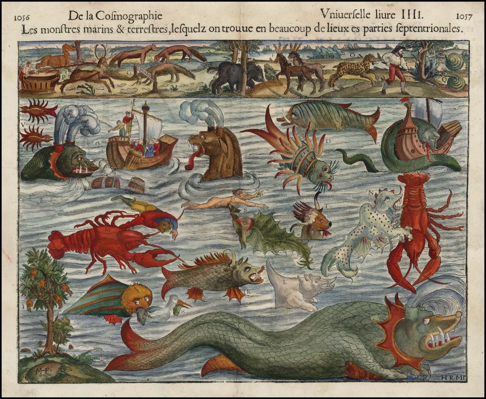 Monstres Marins Rares