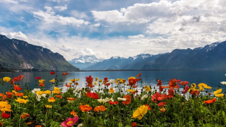 Spring Travel to Switzerland: where to go and what to do | RatePunk