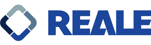 DSR Calculator - REALE