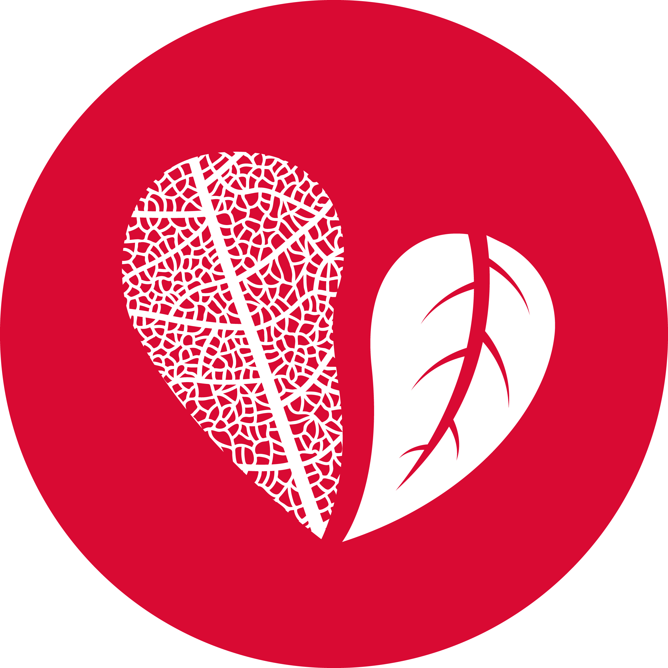 Supermercados Rey - Siempre Fresco