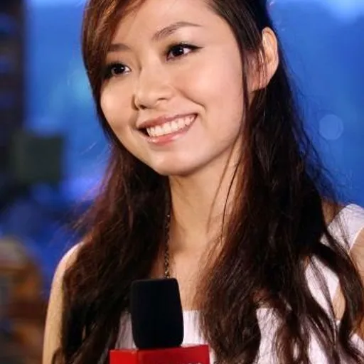Painted Heart - Jane Zhang (Zhang Liang Ying) - Recifra